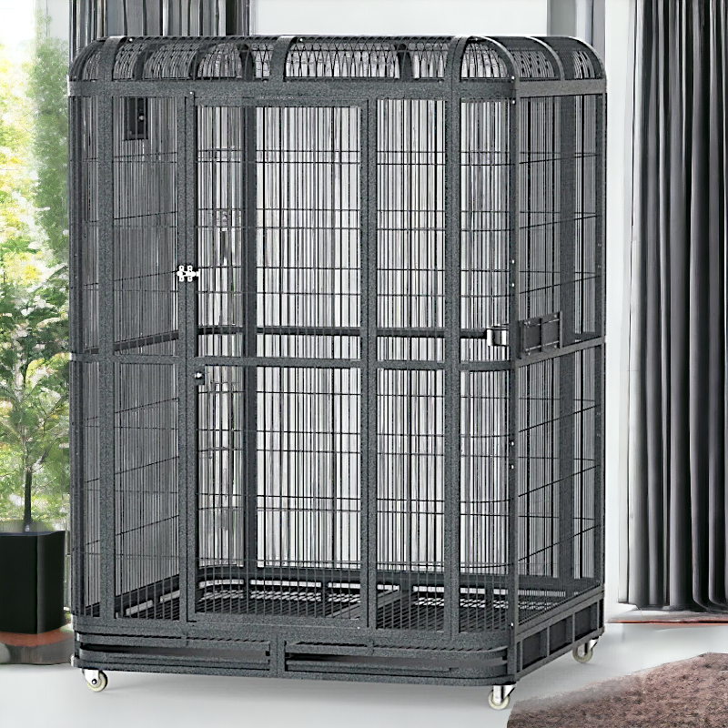 Quill & Roost - All Inclusive Pet Store for Birds