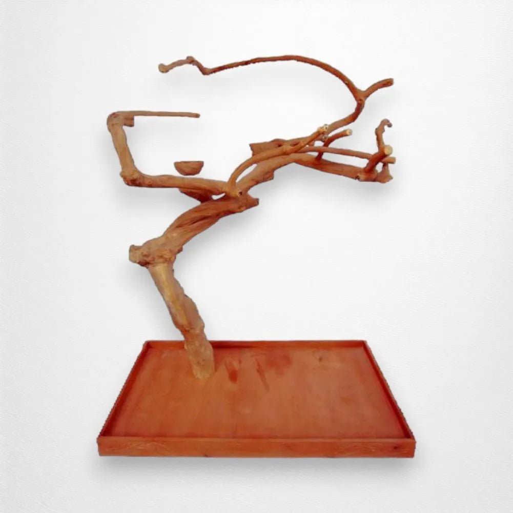 A & E Cage Co - Medium Java Wood Tree Parrot Play Stand — Quill & Roost