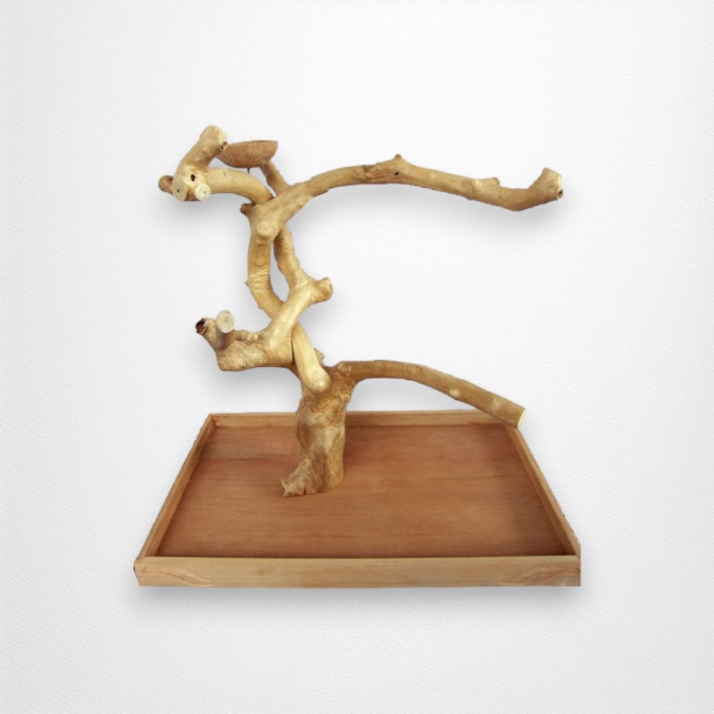 A & E Cage Co - Large Java Wood Table Top Parrot Play Stand — Quill & Roost